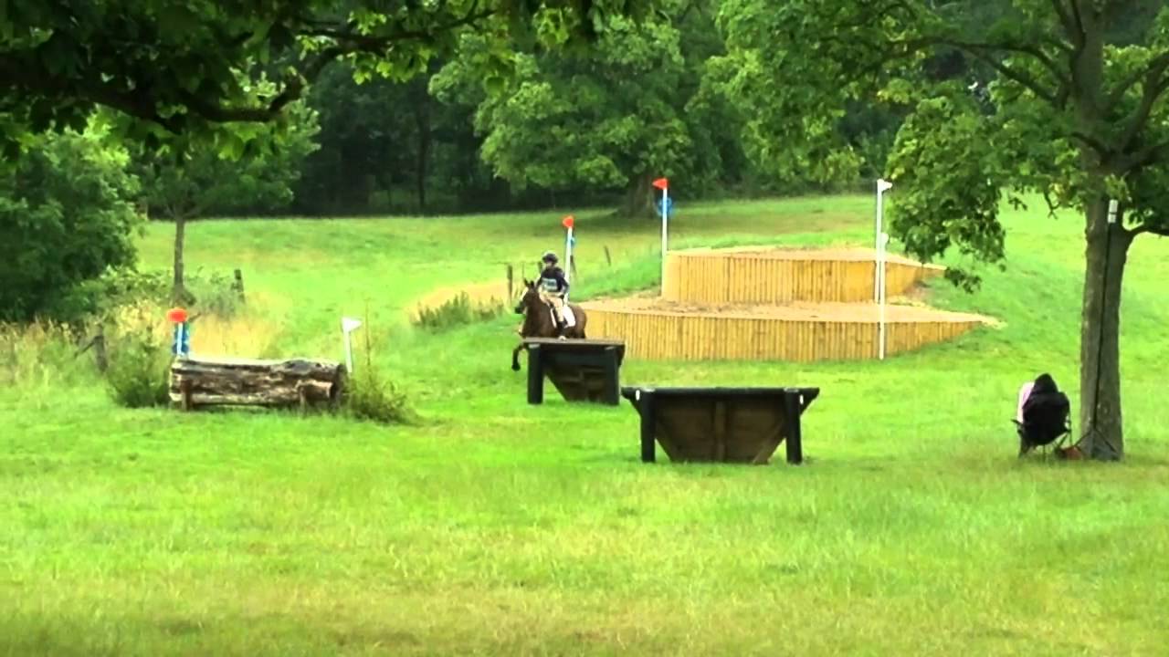 Elsie and Tzar-Area 6 ODE qualifier Buckminster park-step combination ...