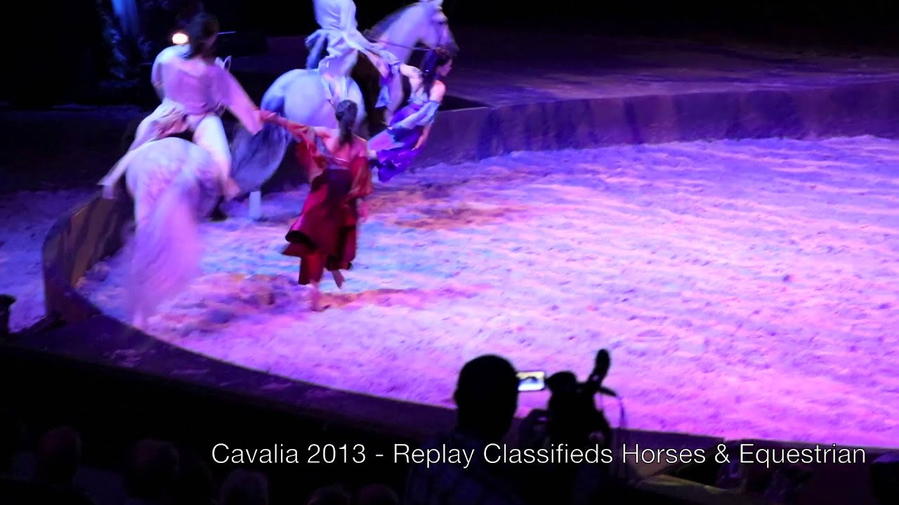Cavalia Show Preview Replay Classifieds Horses & Equestrian strict ...
