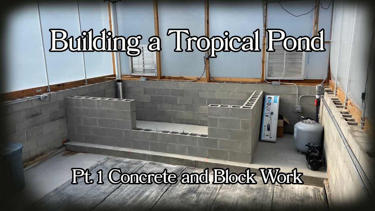 Tropical Pond Build | Pt.1 Concrete and Block Work - YouTube