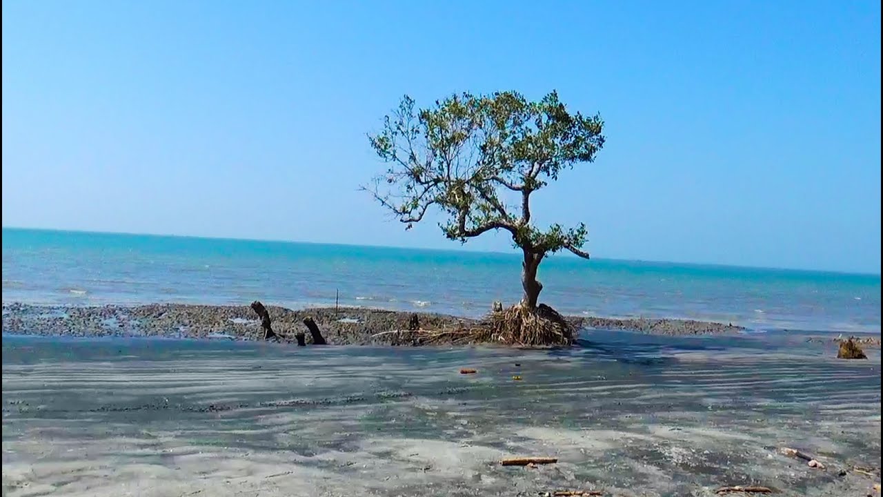 Dublar Char Sundarbans | The Worlds Largest Natural Mangrove Forest ...