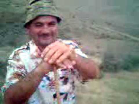 Marneuli chovan