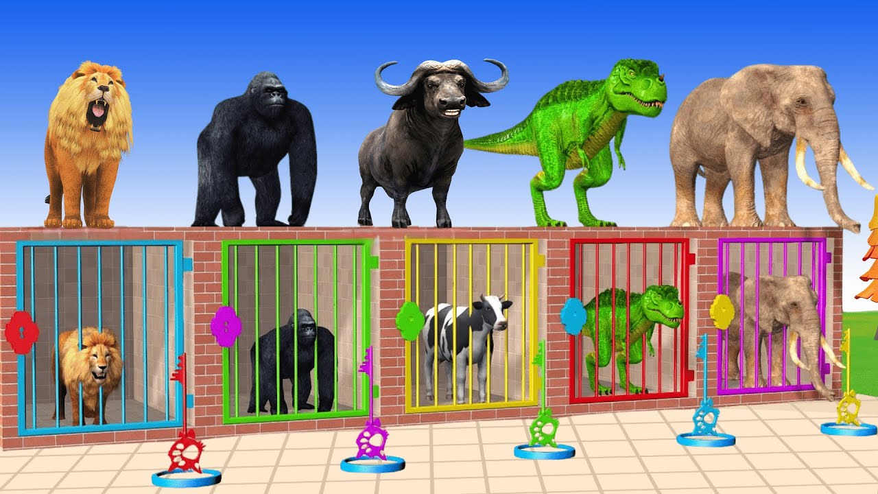 Long Slide Game With Elephant Gorilla Buffalo Hippopotamus Lion - 3d ...