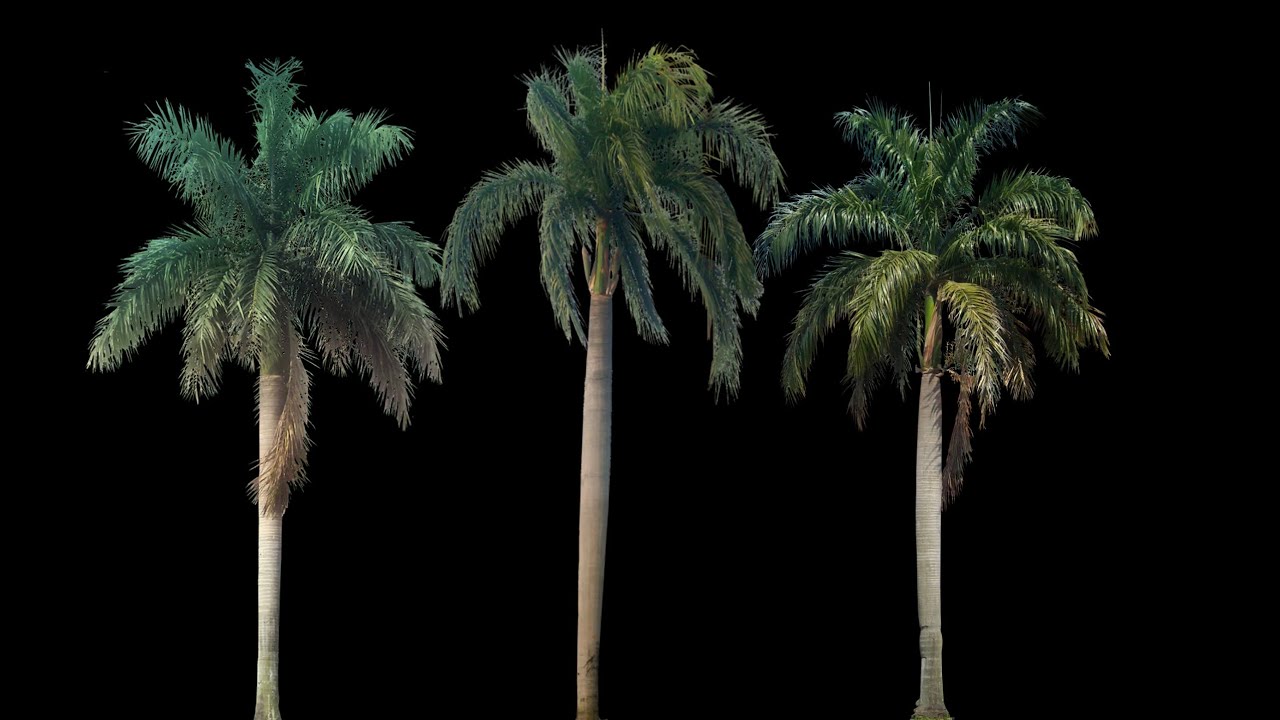 GROTTO SJDM BULACAN GROTTO OUR LADY OF LOURDES Part 197 ...