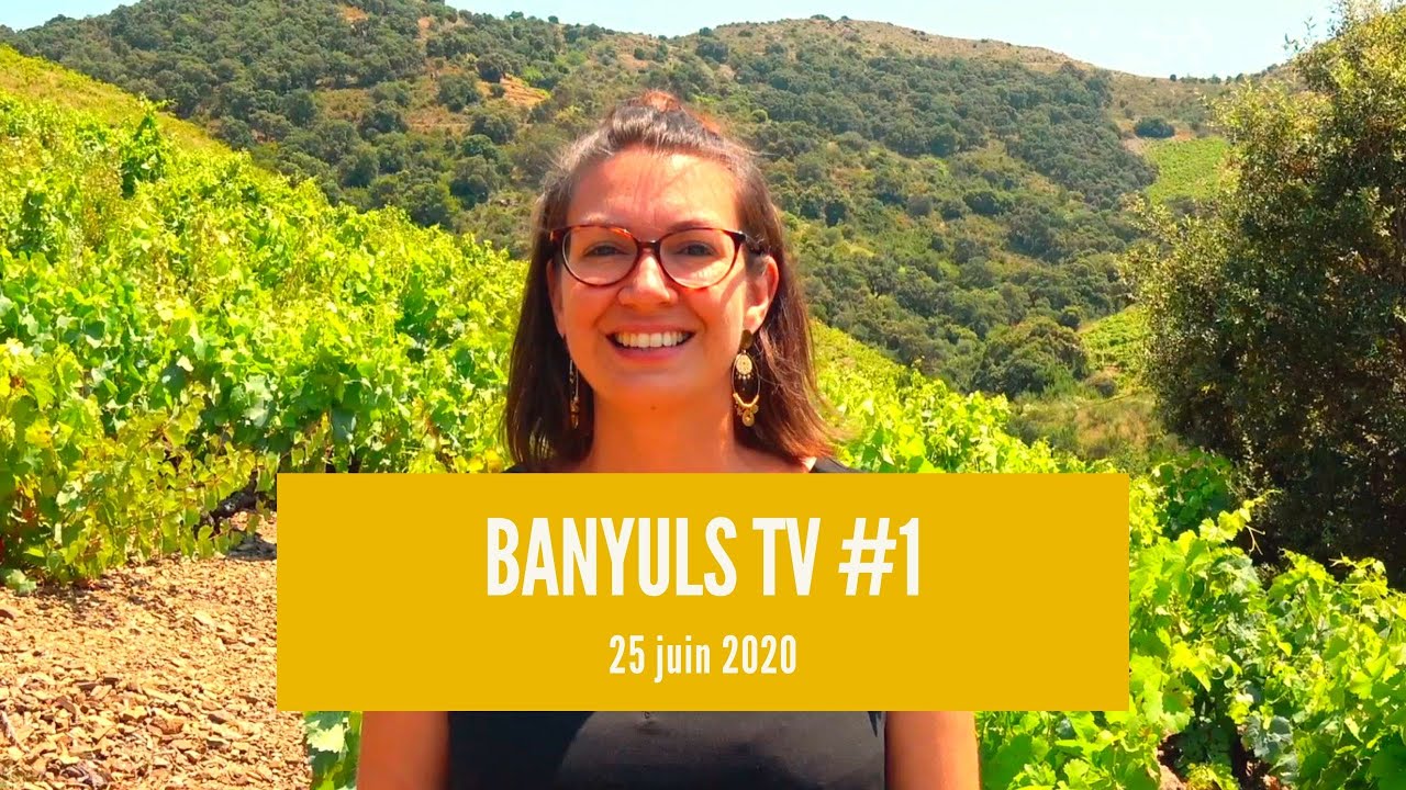 Banyuls TV #1 [25 juin 2020] - YouTube
