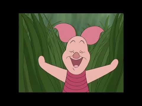 Opening to The Wiggles: Wiggle Time 2004 DVD - YouTube
