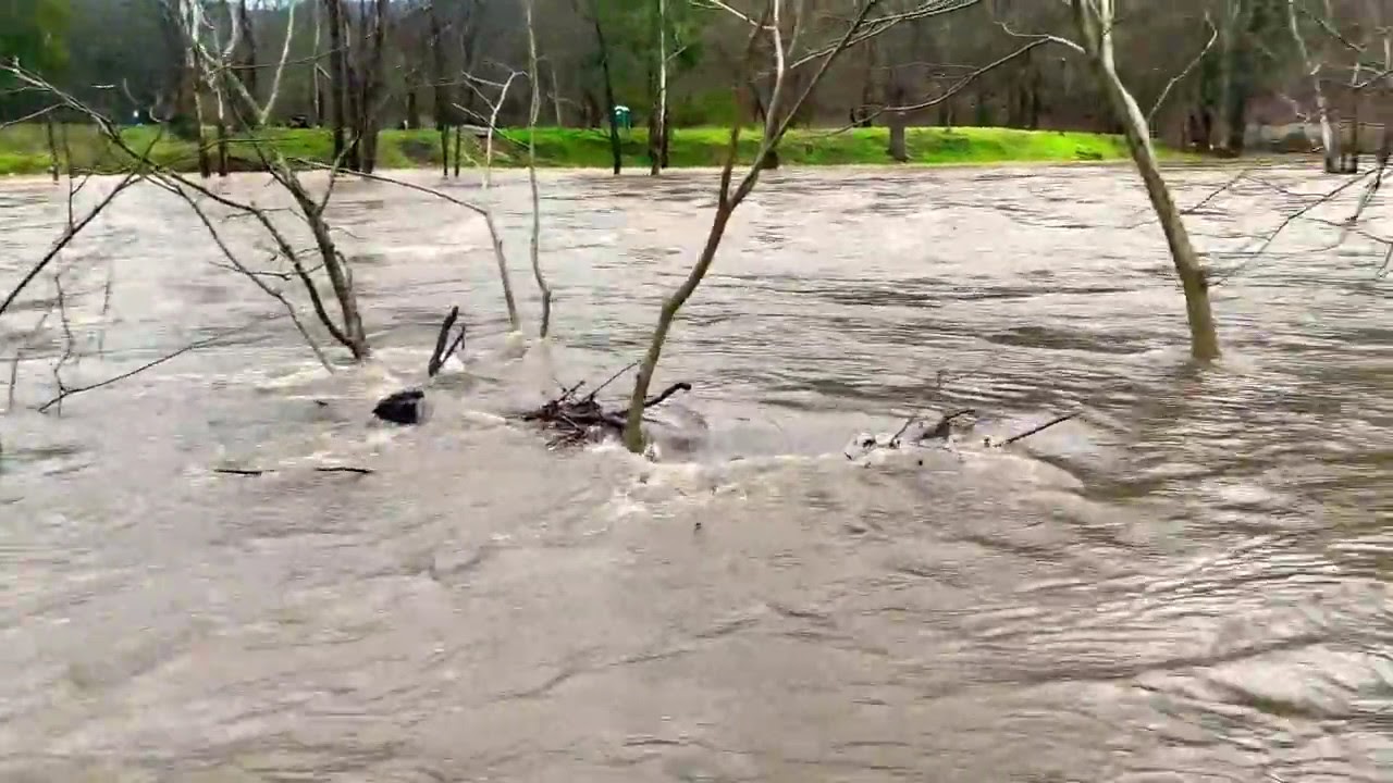 Tree floating during flood just outside #TheGreatSmokyMountains - YouTube