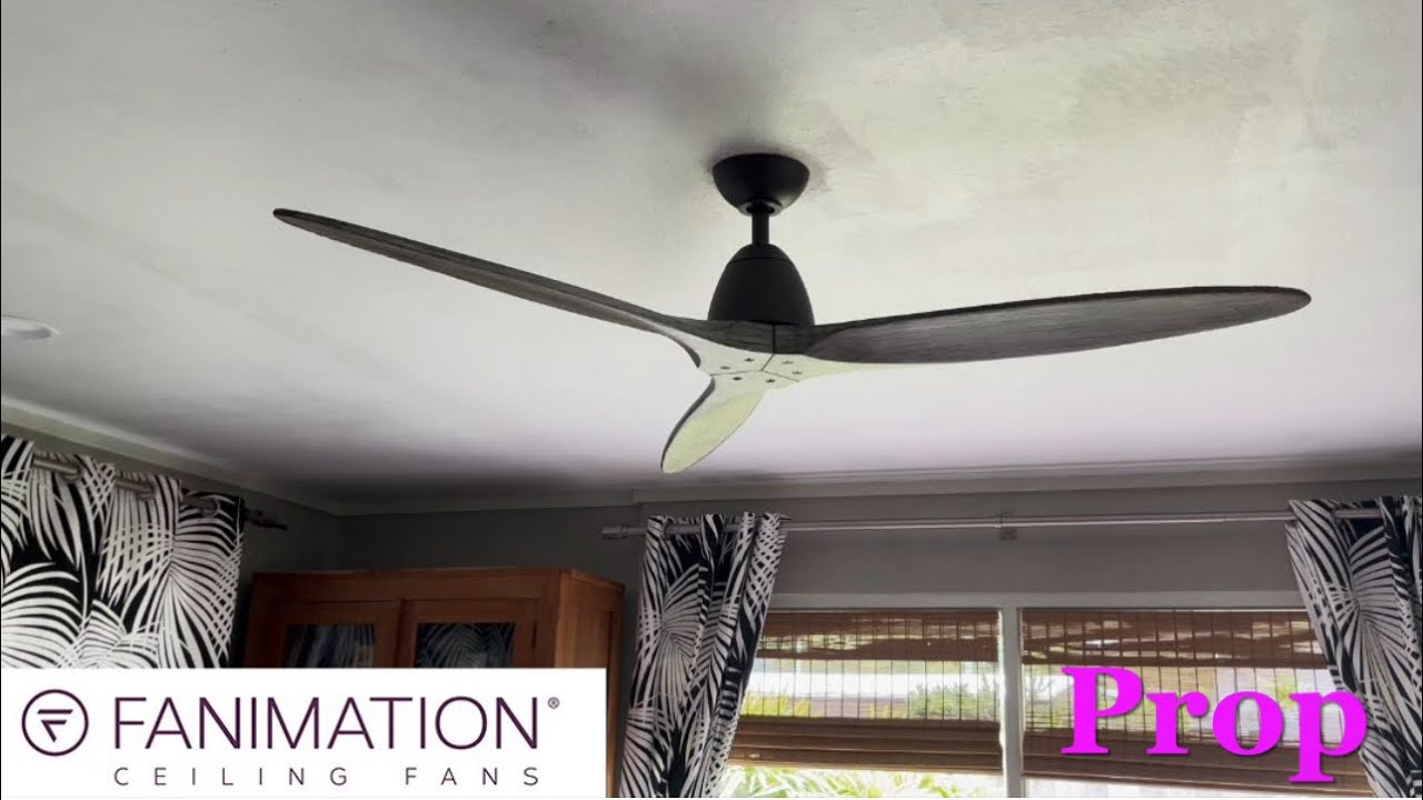 60” Fanimation Prop ceiling fan - YouTube