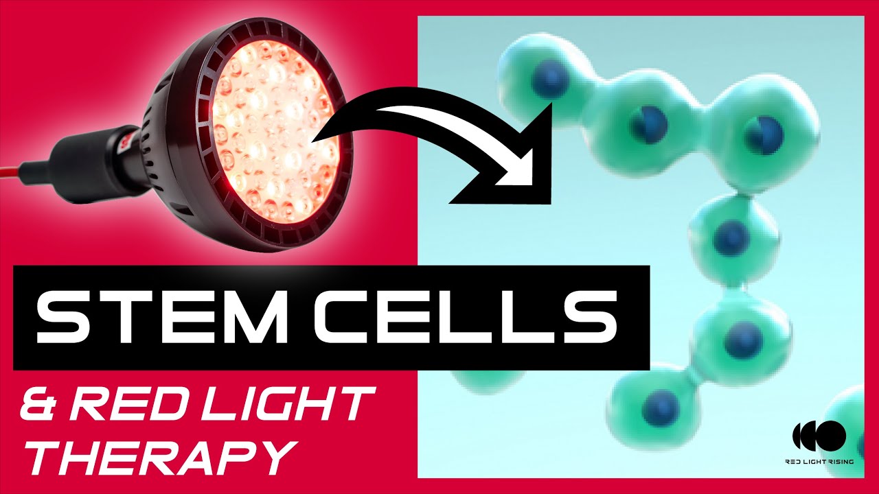 Stem Cells and Red Light Therapy (EXPLAINED) - YouTube