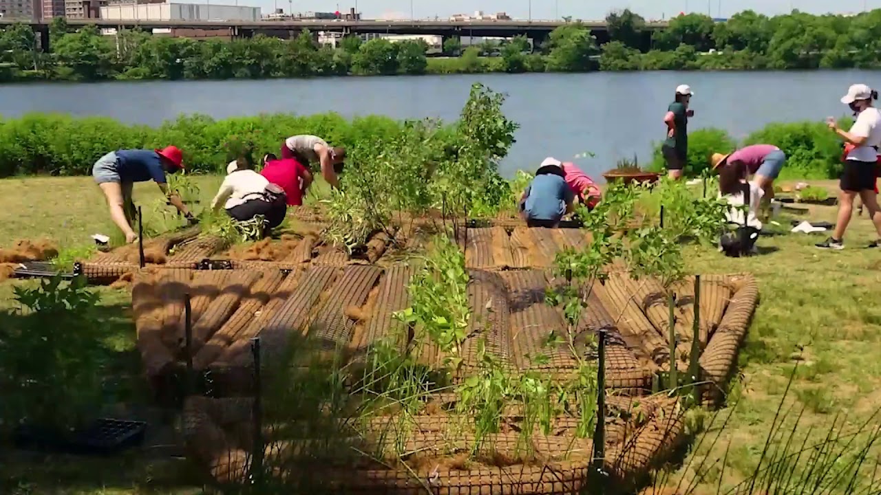 Charles River Floating Wetland Planting & Assembly Time-lapse - YouTube