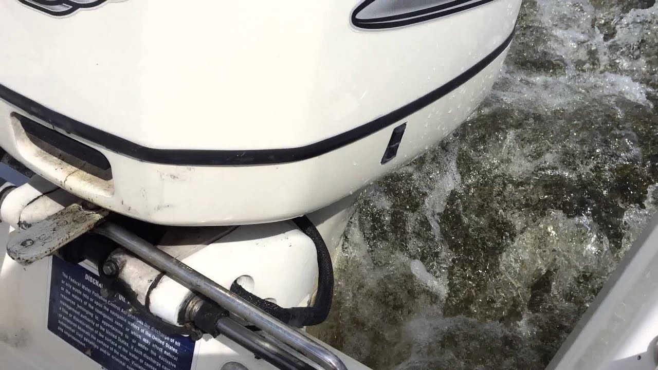 2001 Johnson Ocean Pro 150 2001 Sea-Hunt Victory 215 - YouTube