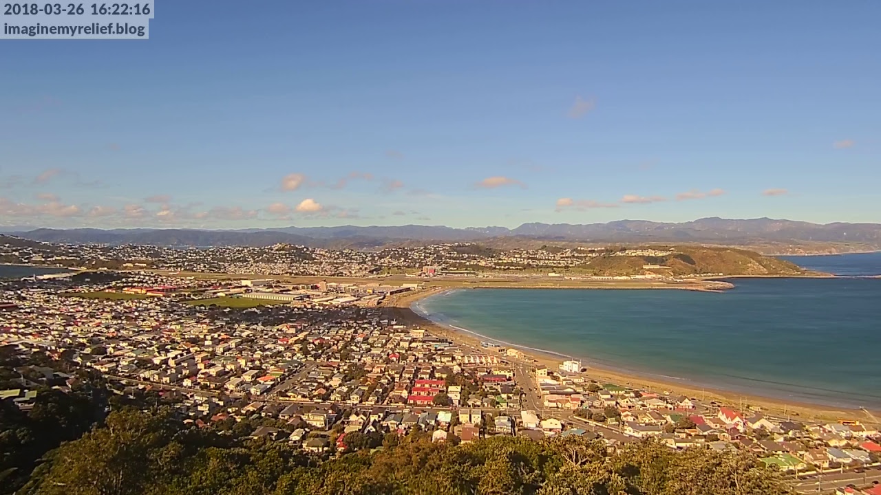 Lyall Bay, Wellington, New Zealand - Live Stream - YouTube