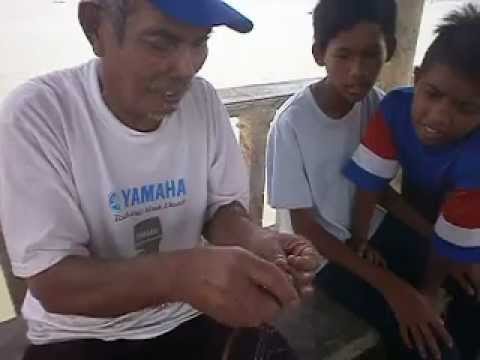 Ride To Kampung Setanggi to Tanjung Langsat - Part 4 - YouTube