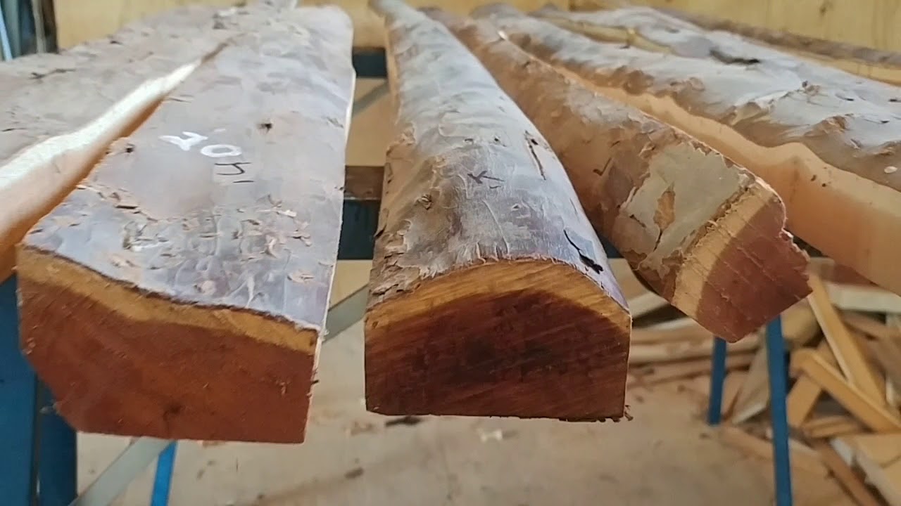 Yew flatbow staves - YouTube