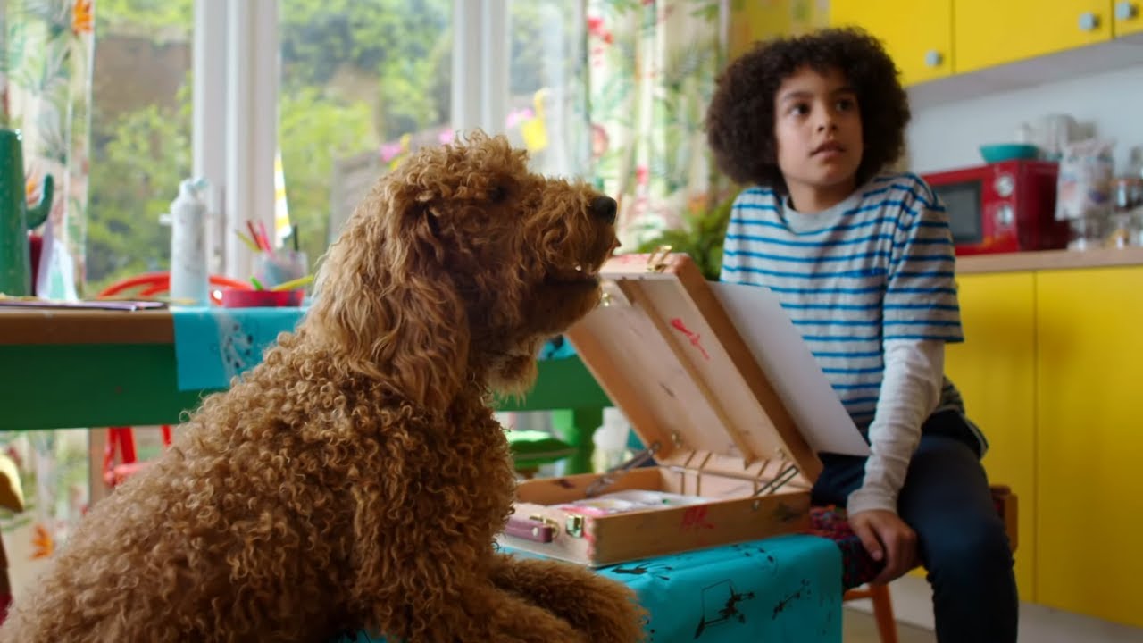 Waffle Paints For George! | Waffle the Wonderdog | Live Action Videos ...