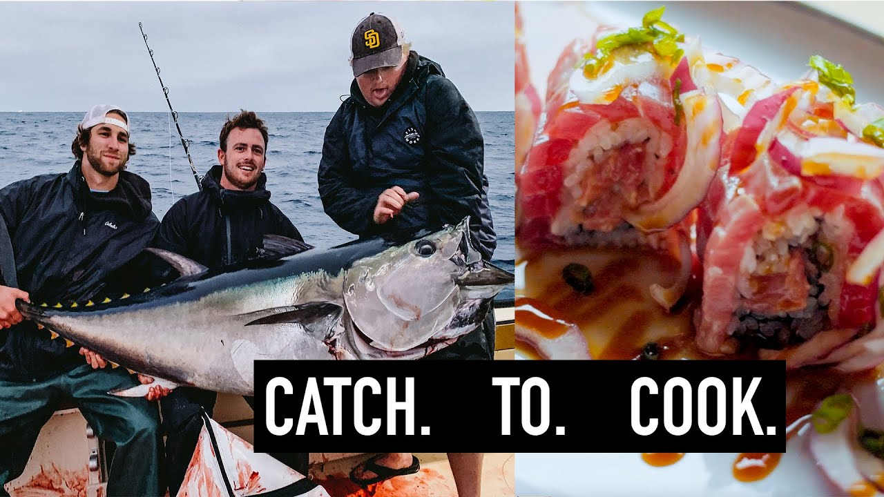 BIG BLUEFIN TUNA Kite Fishing + EASY TO MAKE SUSHI ROLL (CATCH AND COOK ...