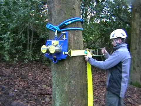 Stein RC 3002 Tree Lowering Device - Mounting - YouTube