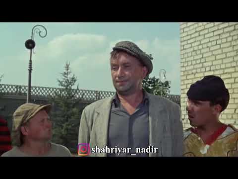 Bakili gagulya. Azerbaycannilar Russiyada