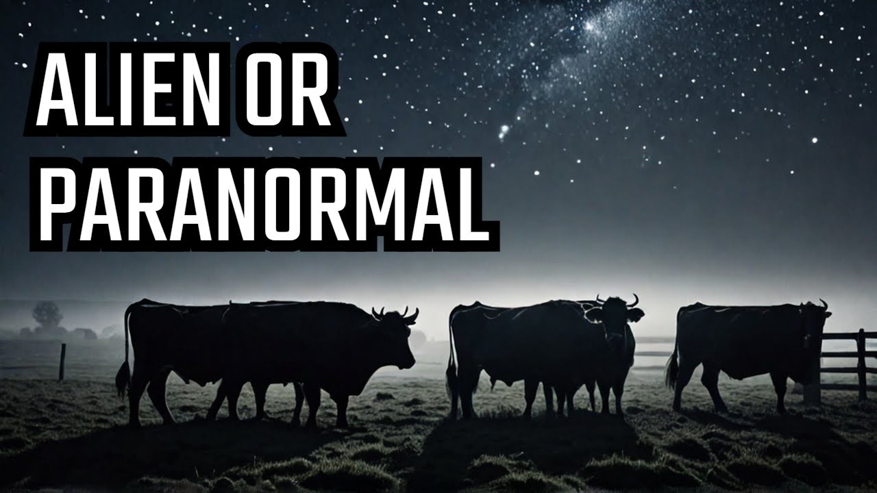 The Vanishing Cattle of Skinwalker Ranch | Paranormal Mystery or Alien ...
