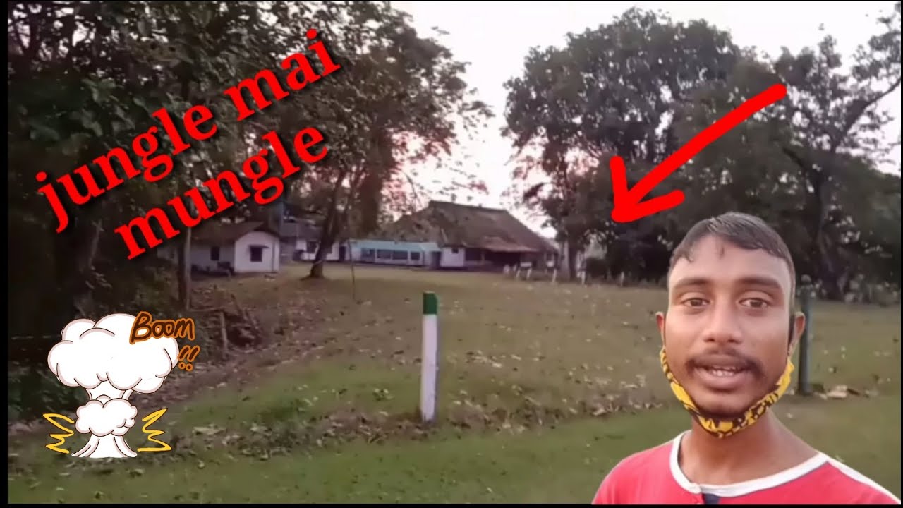 Golf field in Assam //jungle mai mangle with dilip - YouTube