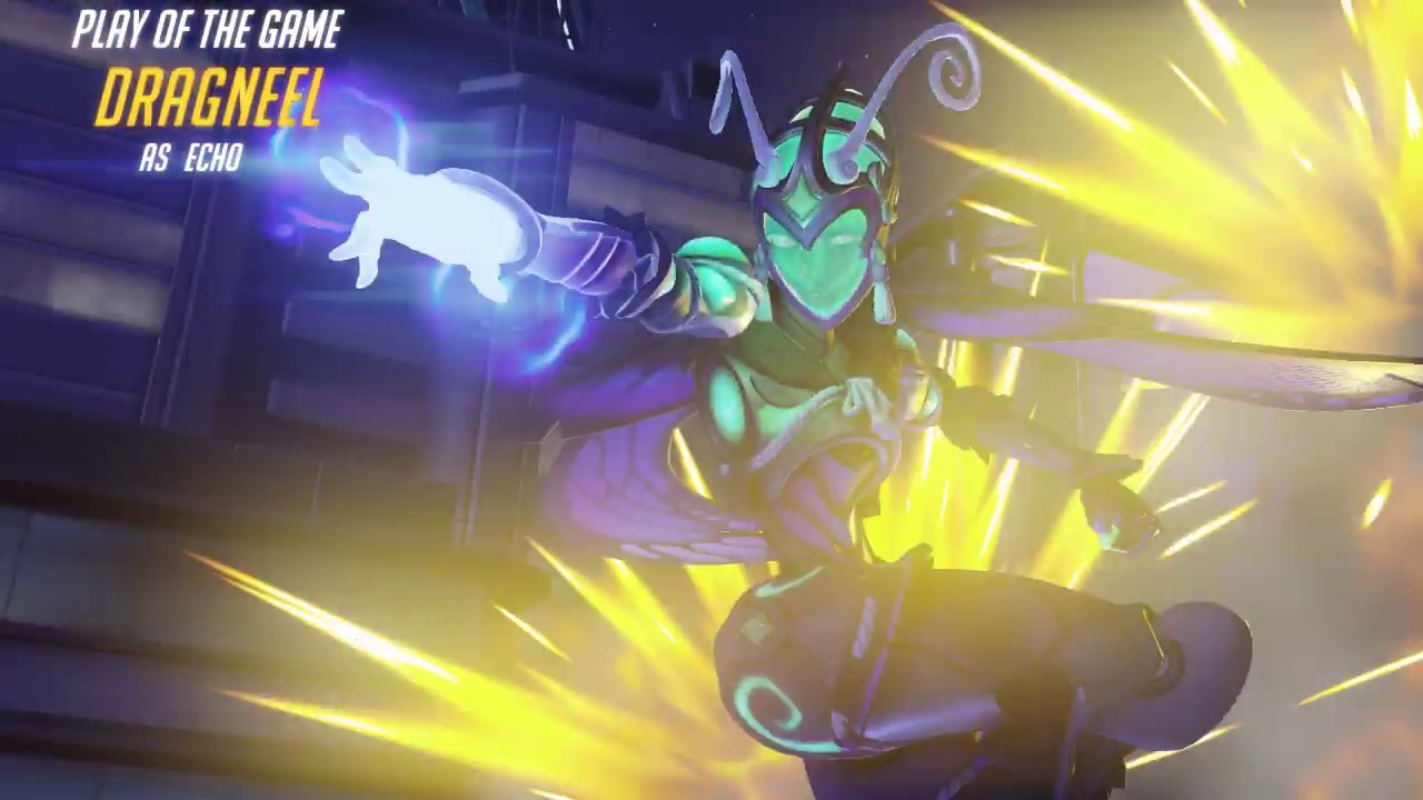 Echo Goes Whole Hog - Overwatch POTG - YouTube