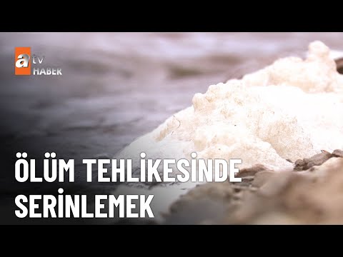 Acı örnekleri unutup, kulaç attılar! - atv Ana Haber 5 Temmuz 2023