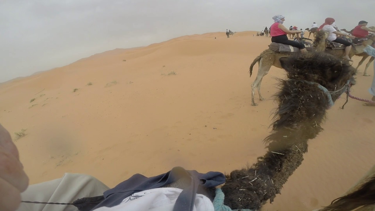 camel trek - YouTube