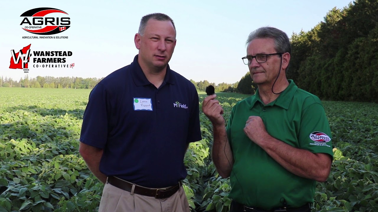 Two Minutes with Dale Cowan CCA-ON, 4R NMS - YouTube