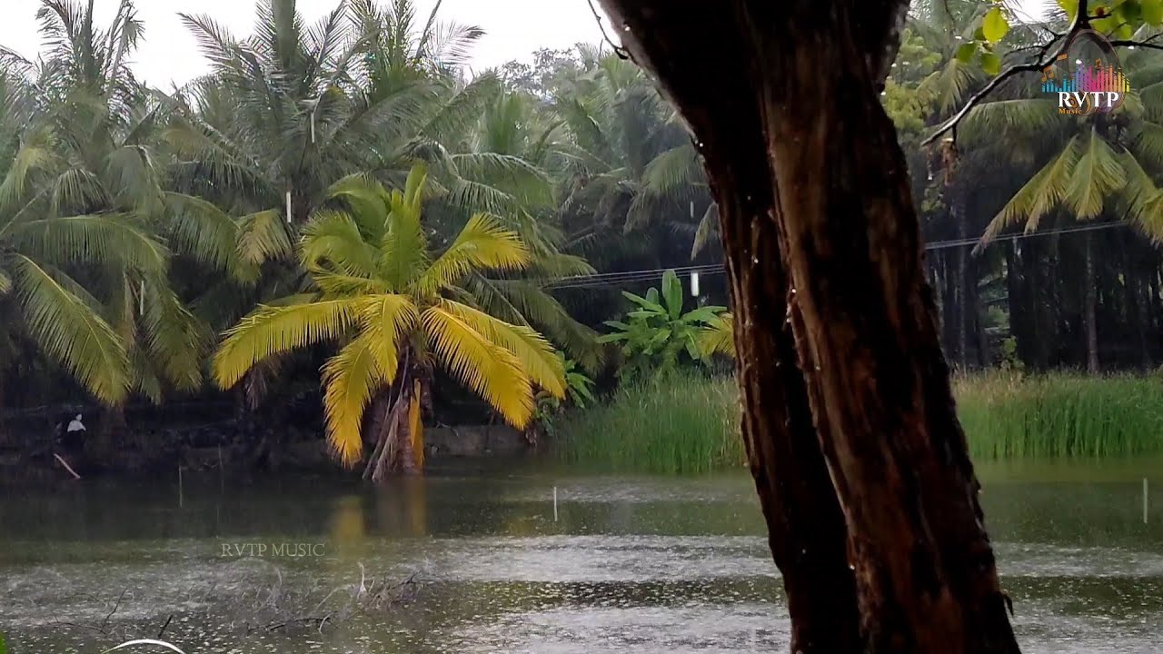 Stress Relief Within 3 Minutes With Rain on Lake | Study music | Deep ...