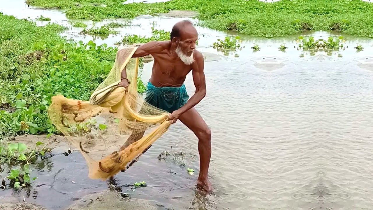 Traditional Net Fishing Best Village Fishing Video Amazing Fishing ...