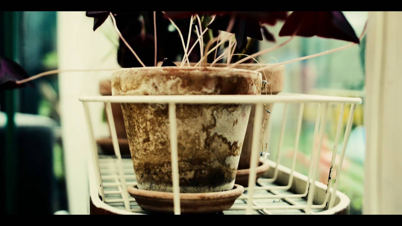 Is the best slider VITUSO 2 in 1 with GH4 + Sigma 18-35, Speedbooster ...