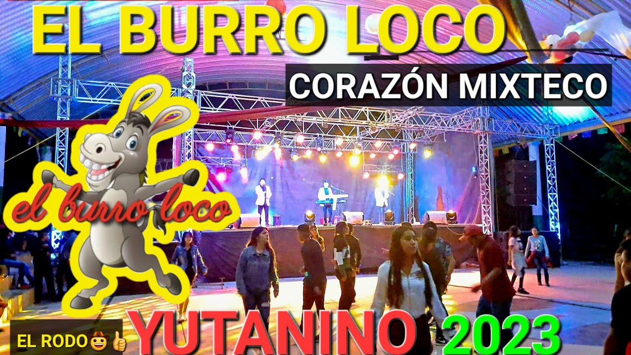 El BURRO LOCO En YUTANINO♥️🫏//Corazón Mixteco🎹🎵 - YouTube