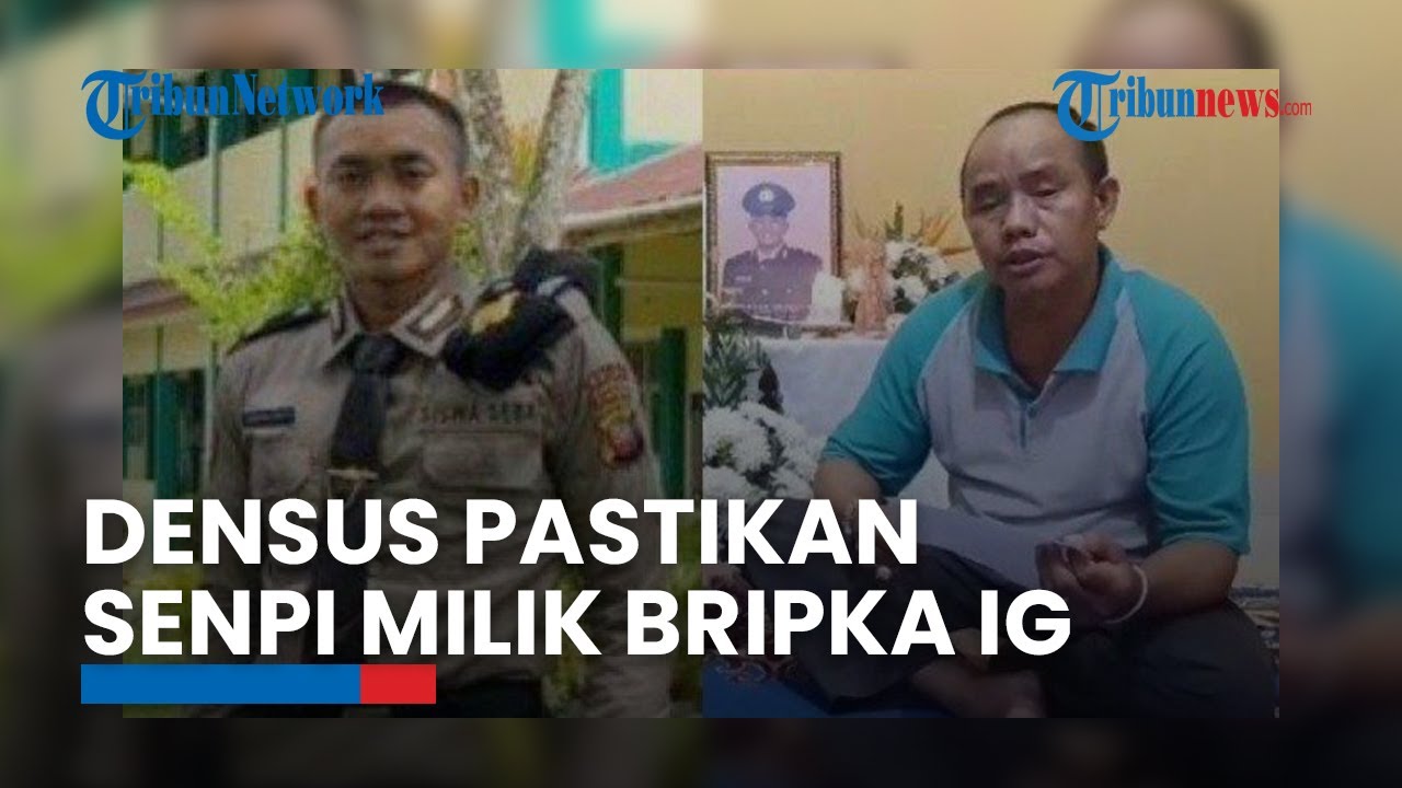 Bripda Ignatius Tewas di Tangan Bripda IMS yang Sedang Mabuk, Densus ...