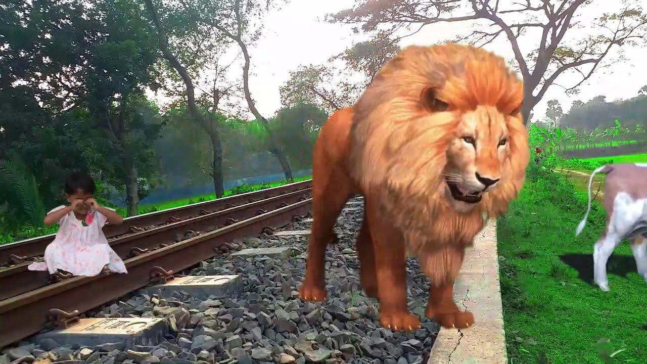 baby crying on a track and tiger trying to stop the train | funny train ...