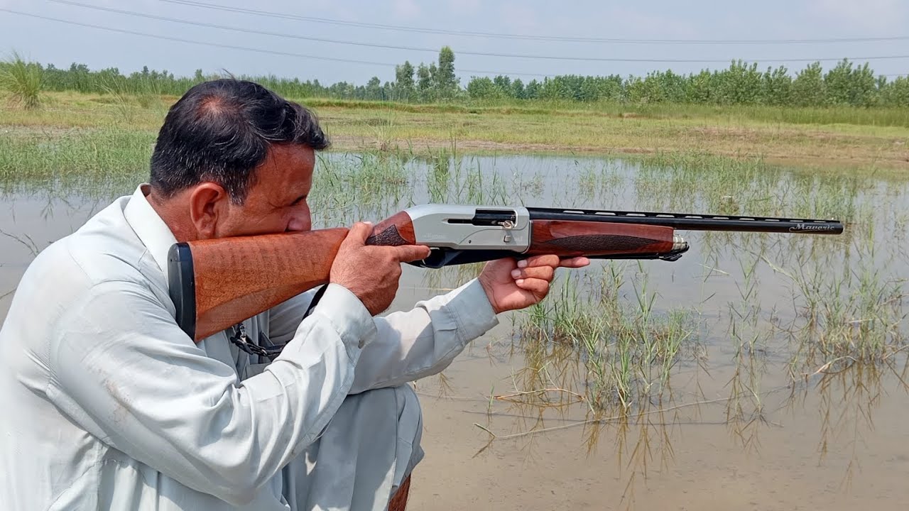 Bird Hunting with a 12 Gauge Shotgun: Action and Precision - YouTube