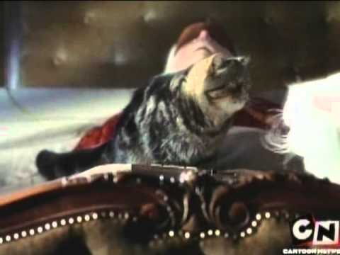 Cats and Dogs intro - YouTube