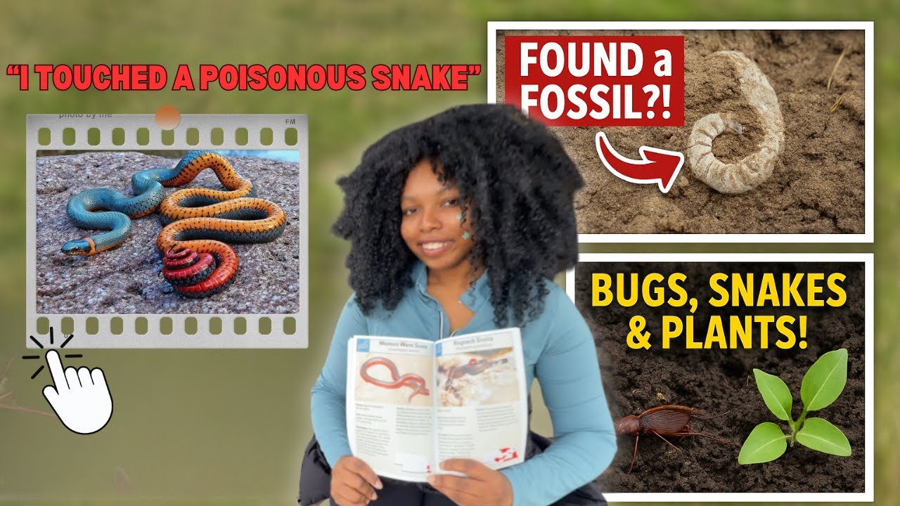 Herping in Nebraska Took a Wild Turn… Fossils, Venomous Snakes & More ...