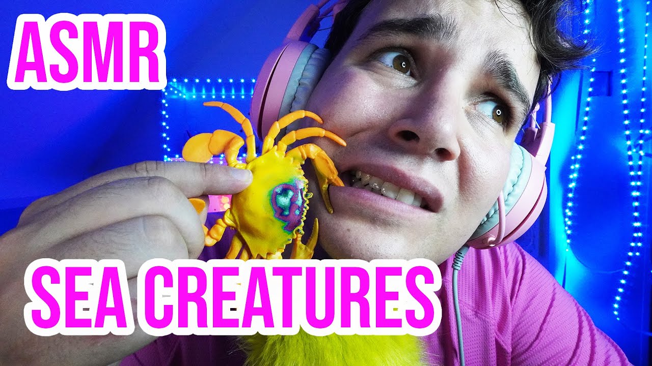 ASMR Sea Creatures 🌊 - YouTube