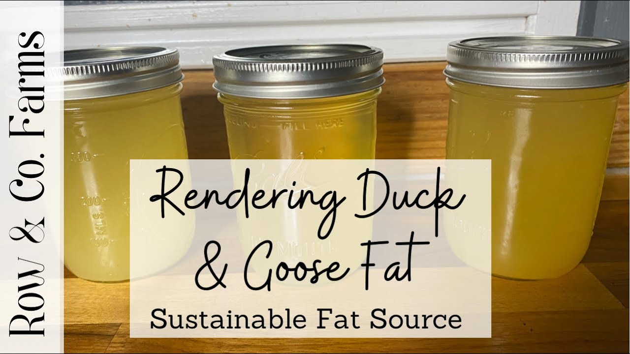 Best Natural Animal Fat for Cooking - YouTube