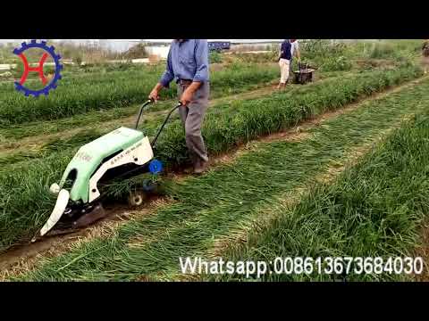 Leek cutter harvesting machine,how to harvest leek by walking harvester ...