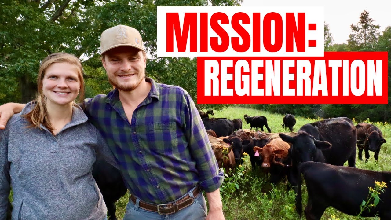TIMSHEL WILDLAND | A Regenerative Wildland Series | Part 1 - YouTube