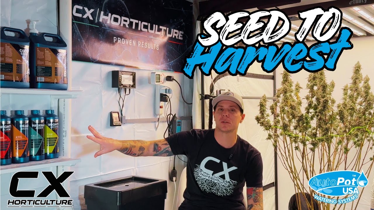 AutoPot + CX Horticulture - Seed to Harvest (Full Grow) - YouTube