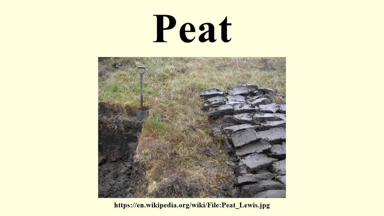 Peat - YouTube
