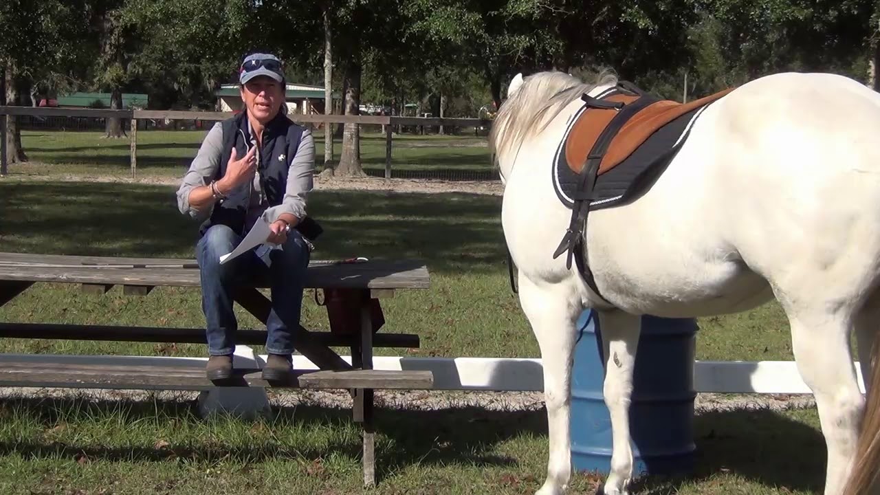 Teaching the Half-halt: Part II - YouTube