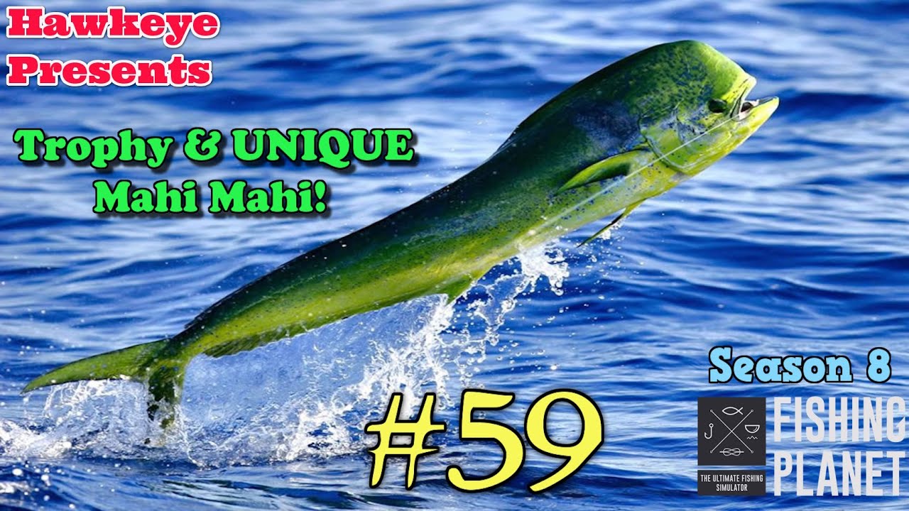 Fishing Planet #59 - Trophy & UNIQUE Mahi Mahi! - YouTube
