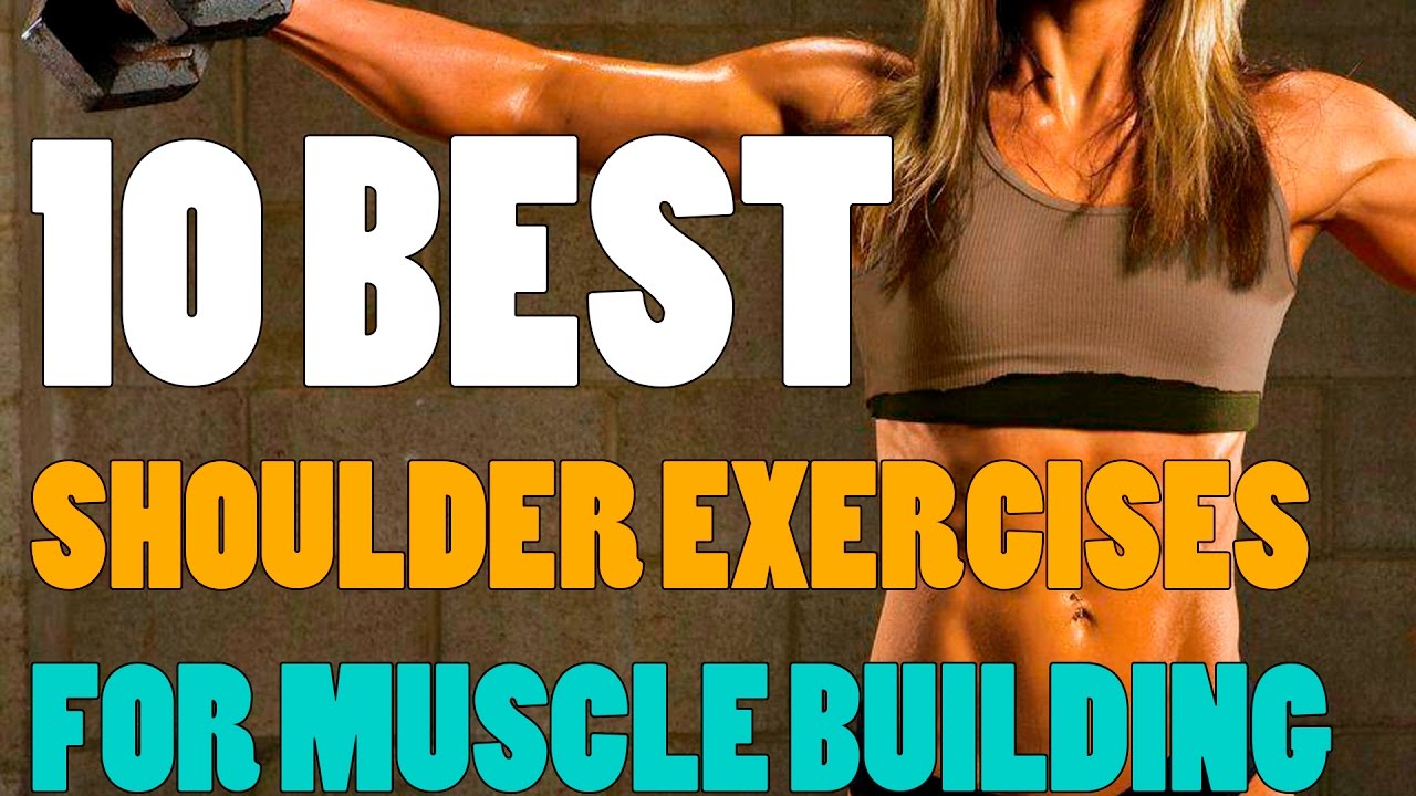 10 Best Shoulder Exercises For Muscle Building l Top 10 Training List ...