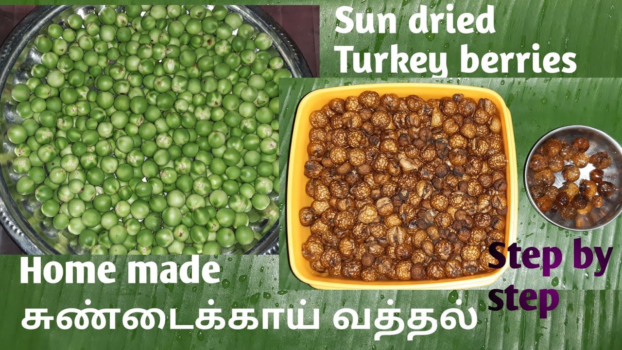 Sundakkai vathal | சுண்டக்காய் வத்தல் | How to make sundakkai vathal ...