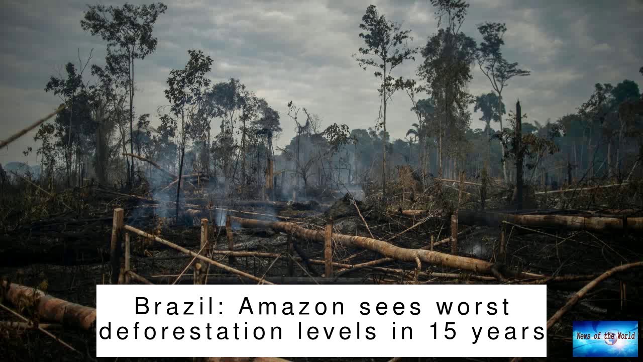 Brazil: Amazon sees worst deforestation levels in 15 years - YouTube