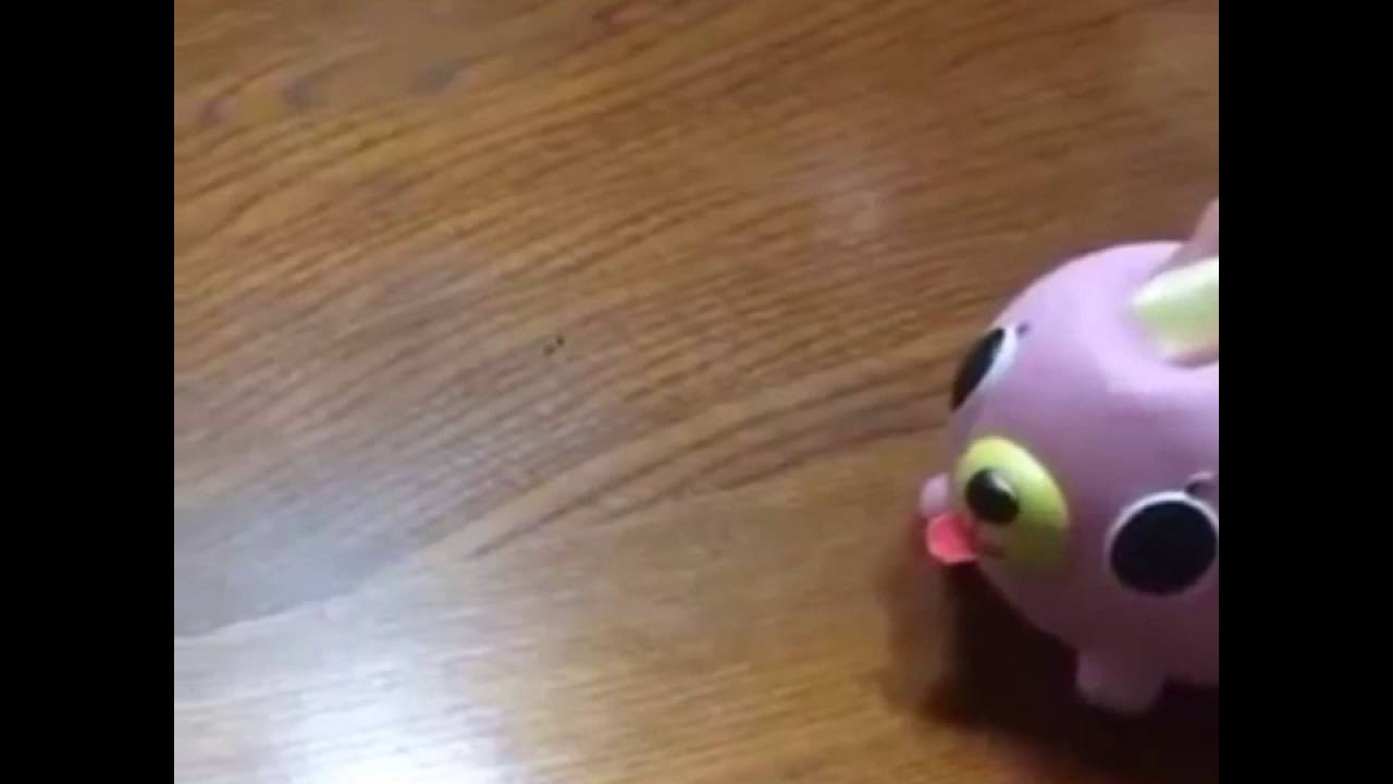 Squishy Toy Meme Hunger Games Remix - YouTube