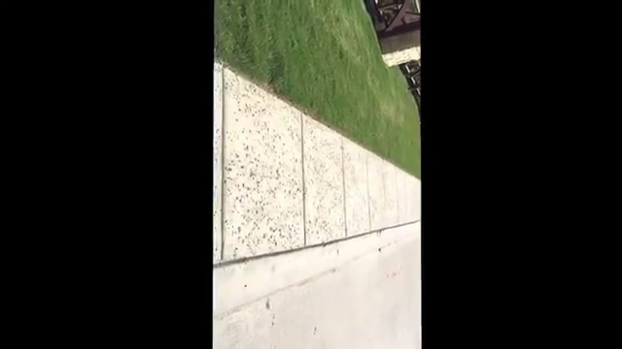 Salt finish on concrete - YouTube