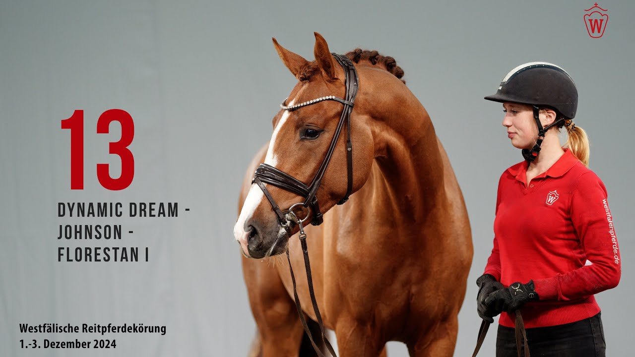 Reitpferdekörung 2024 Katnr.13 Dynamic Dream - Johnson - Florestan I - YouTube